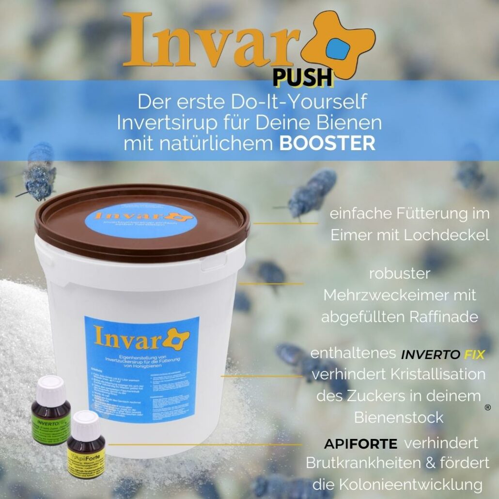 INVARO PUSH! - DIY Invertsirup für gesunde Bienen
